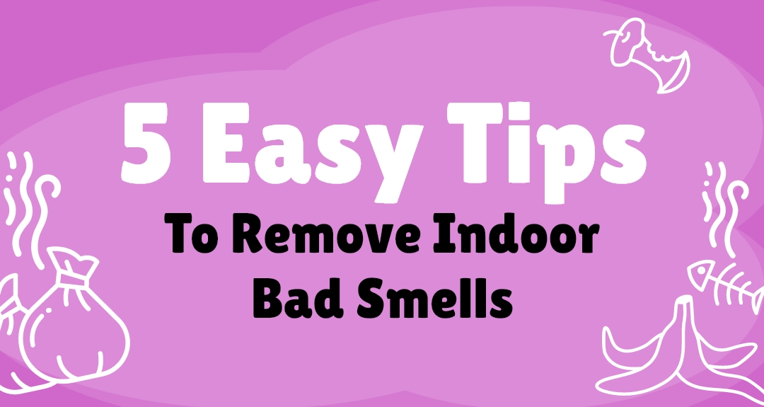 5 Easy Tips To Remove Indoor Bad Smells | Blog